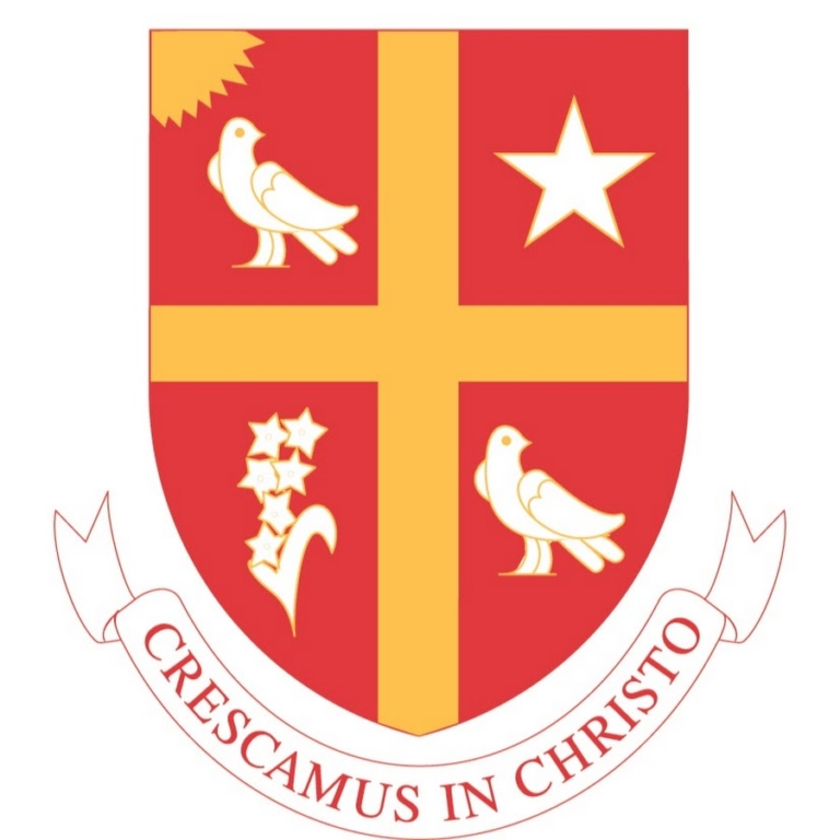 College-Bound? Try These Catholic Summer Programs - Cardinal Newman Society